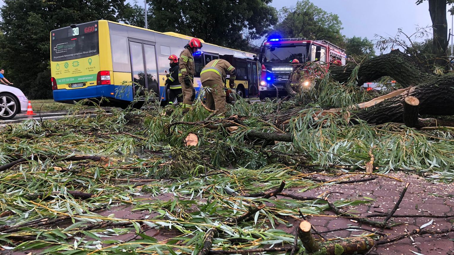 Krajobraz po burzy, która przeszła nad Tarnowem [ZDJĘCIA]